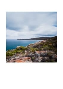 Adding Print Borders - Lucent Imaging