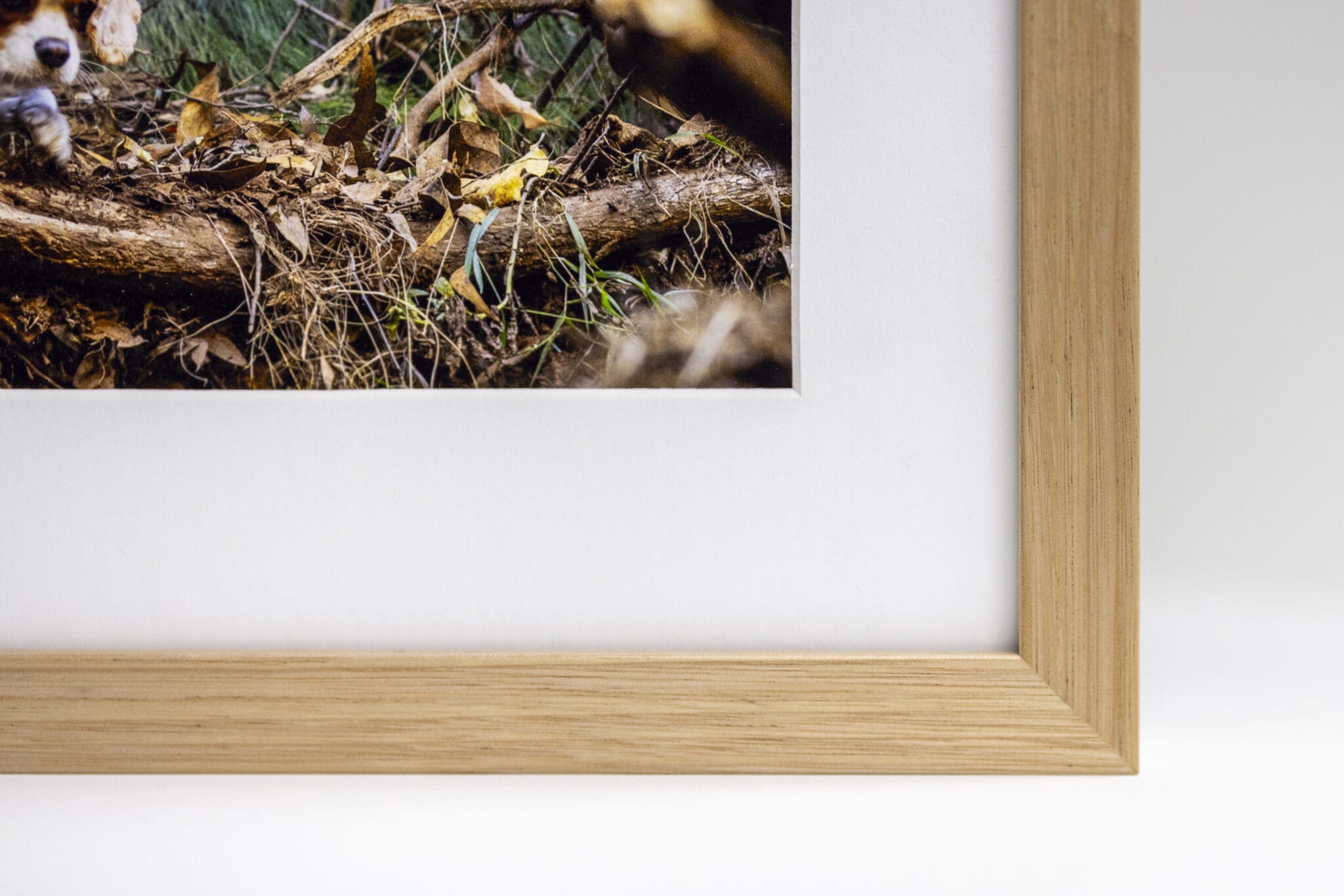 Archival Fine Art Print Framing for Artists and Creatives